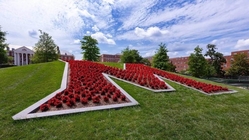 CGS Research Assistant Shawn Edelstein Named 2024-25 Philip Merrill ...